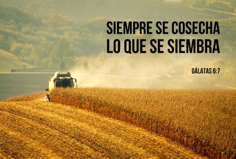 Siempre se cosecha lo que se siembra - Hora de Orar - Devocional Diário